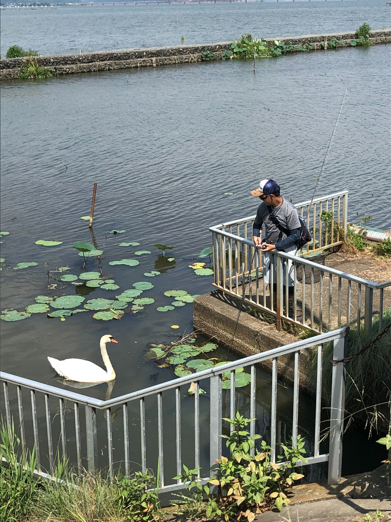 最新釣果 - 岩槻インター店 [釣具のキャスティング]