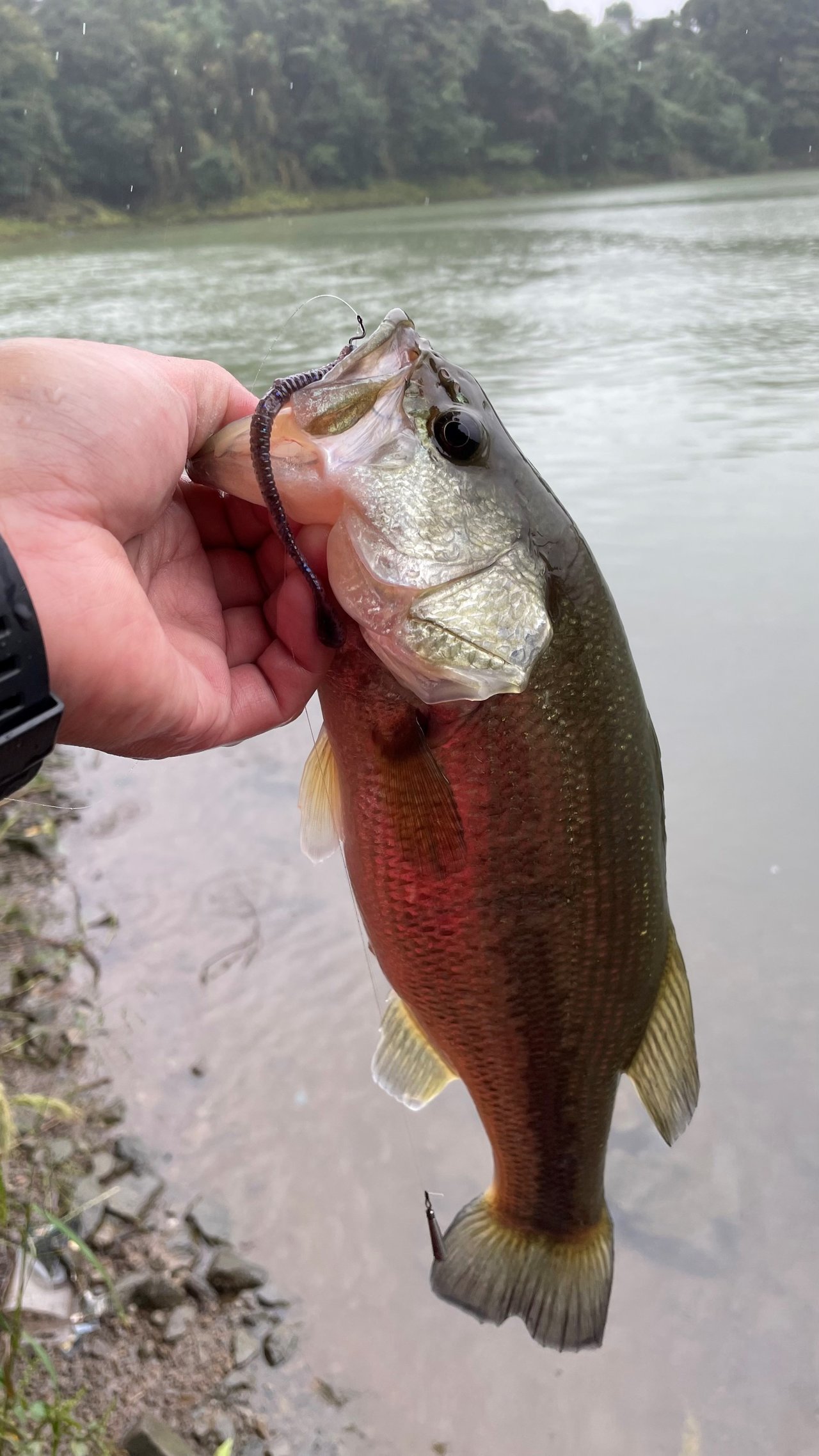 2022年10月06日(木) 東京都 八王子店の釣果です。[釣具のキャスティング]