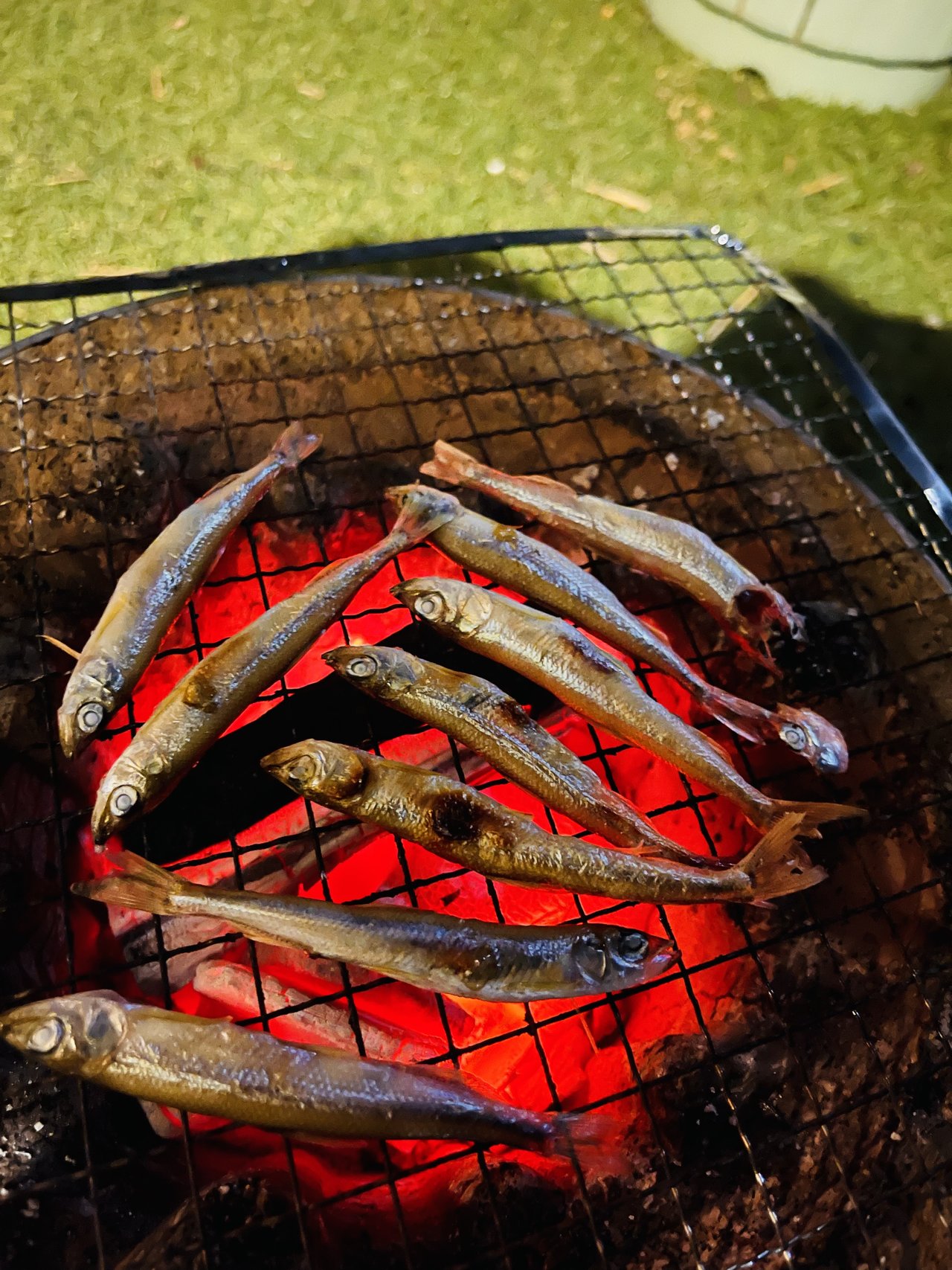 最新釣果 - 府中店 [釣具のキャスティング]