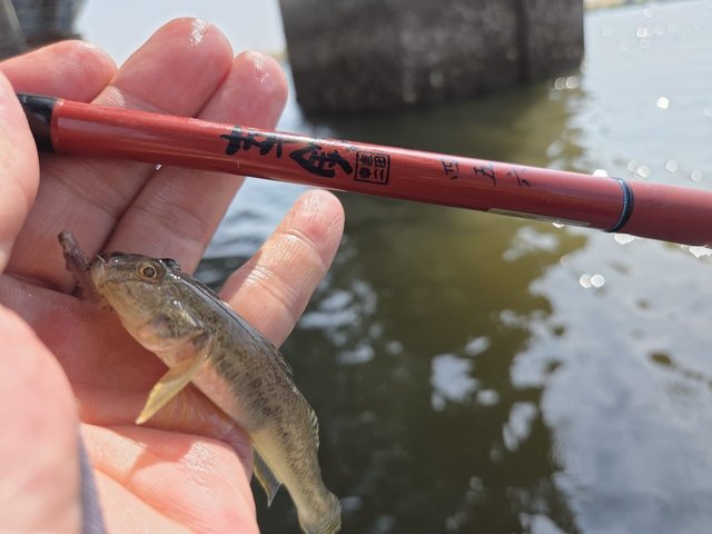 ティムコ 川釣り竿 幸釣 456(四五六) アカ【即日発送】: 竿｜釣具の